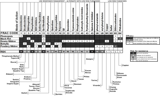 Phomopsis in the Vineyard – Symptoms, Forecast, and Management — Plant ...