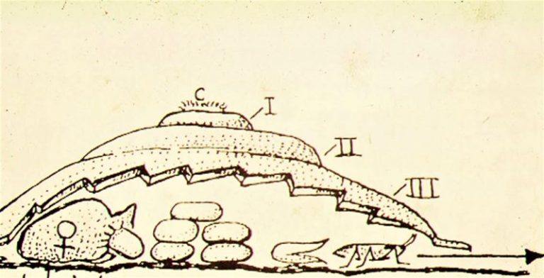 Some Key Armored Scales & Crawler Emergence — Plant & Pest Advisory