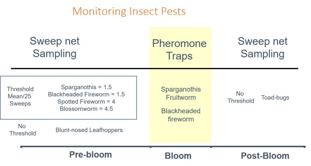 Early Season Insect Pests of Cranberries — Plant & Pest Advisory