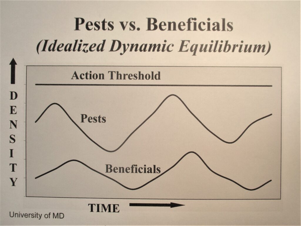 Common Backyard Beneficials — Plant & Pest Advisory