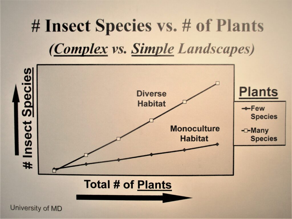 Common Backyard Beneficials — Plant & Pest Advisory