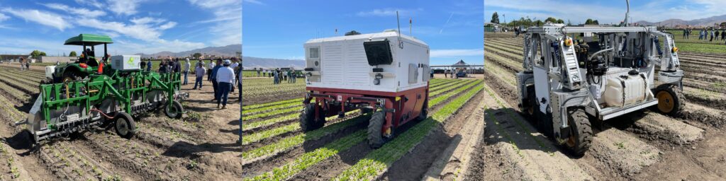 Survey of cole crops and leafy green growers – novel weed control ...