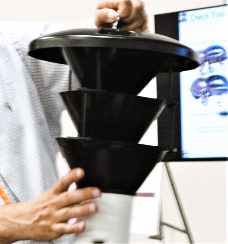 Ambrosia Beetle Borers of Nursery Plants — Plant & Pest Advisory