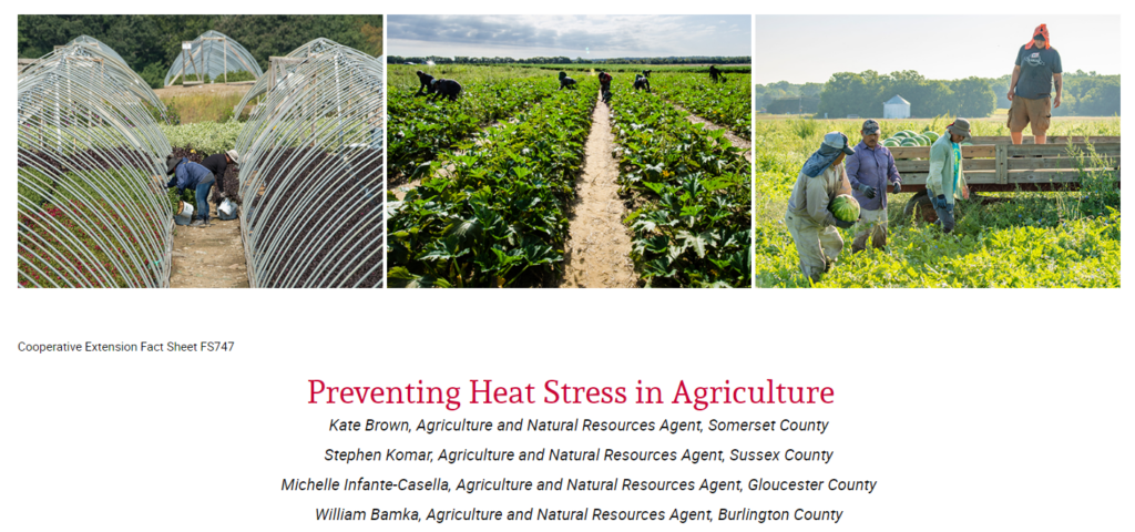 Preventing Heat Stress in Agriculture – Factsheet Updated — Plant ...