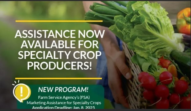 Hurry – Apply for the Marketing Assistance for Specialty Crops (MASC ...