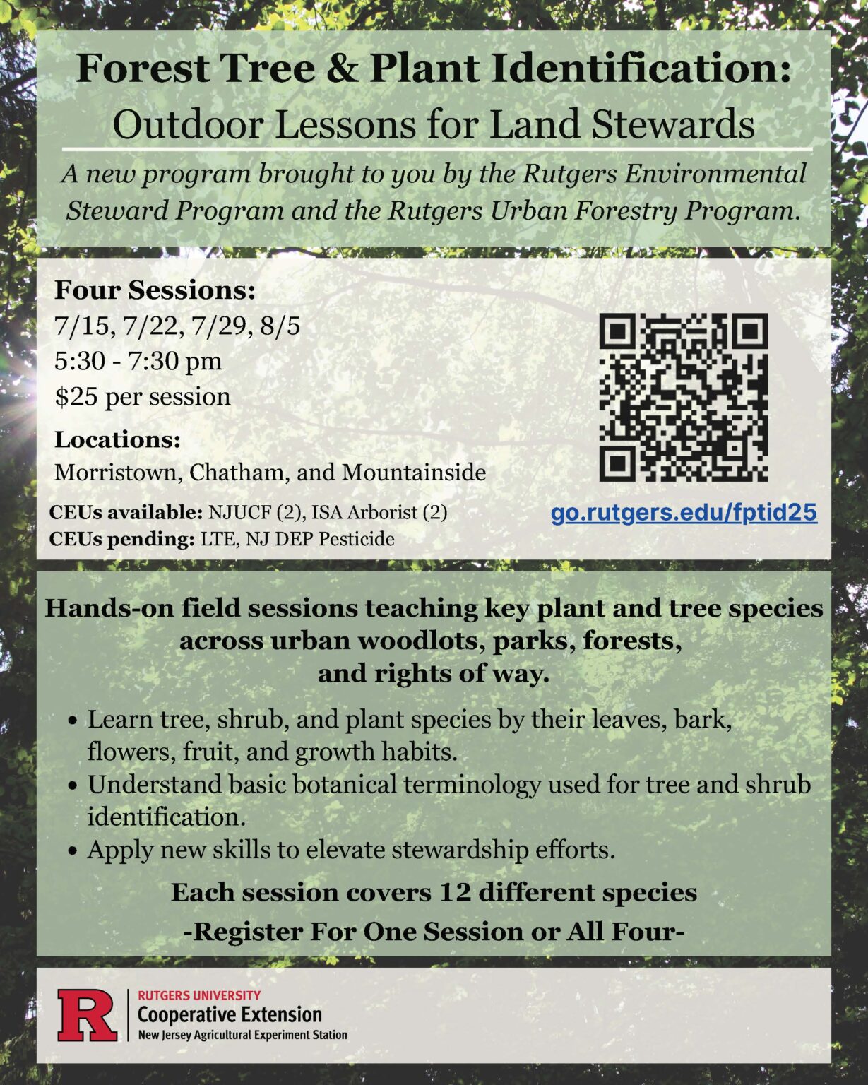 Forest Tree and Plant Identification Program Offered This Summer — Plant & Pest Advisory