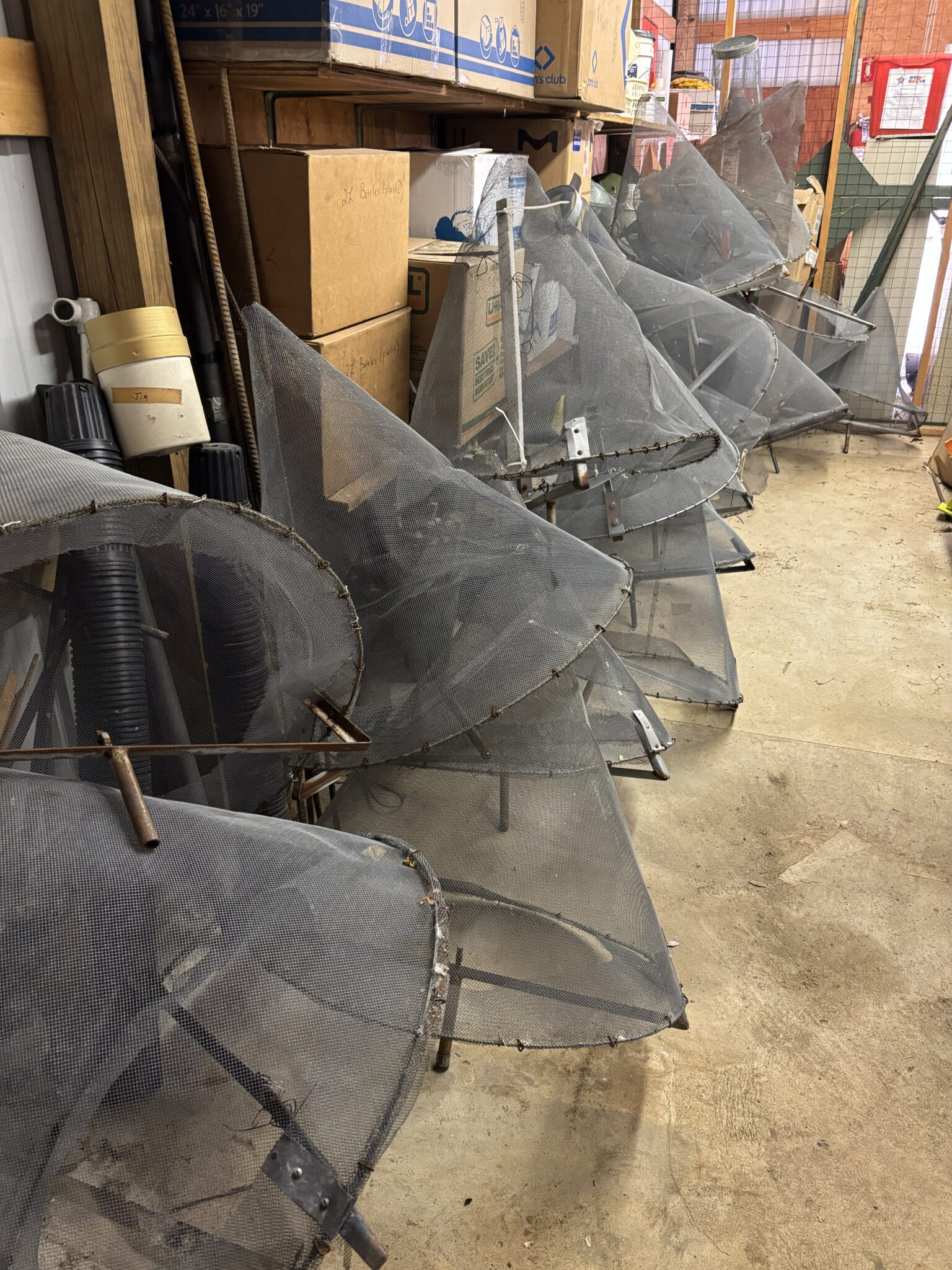 It’s never too early to be thinking about corn earworm — Free webinar ...